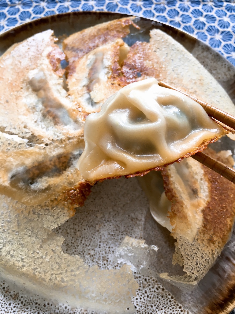 Japanese Gyoza with Wings 羽根つき餃子